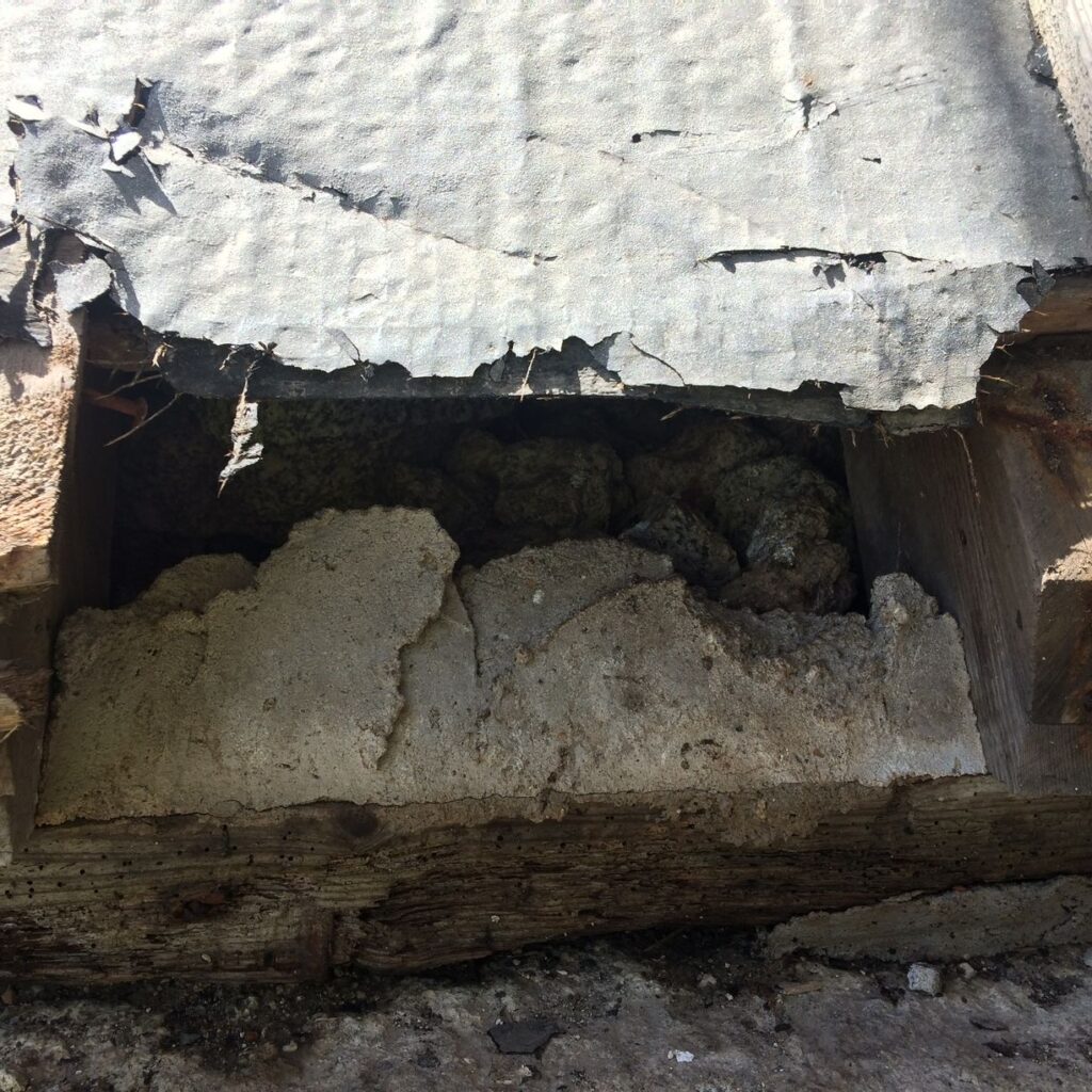 Restoration work underway – St Helen’s Church, Lundy